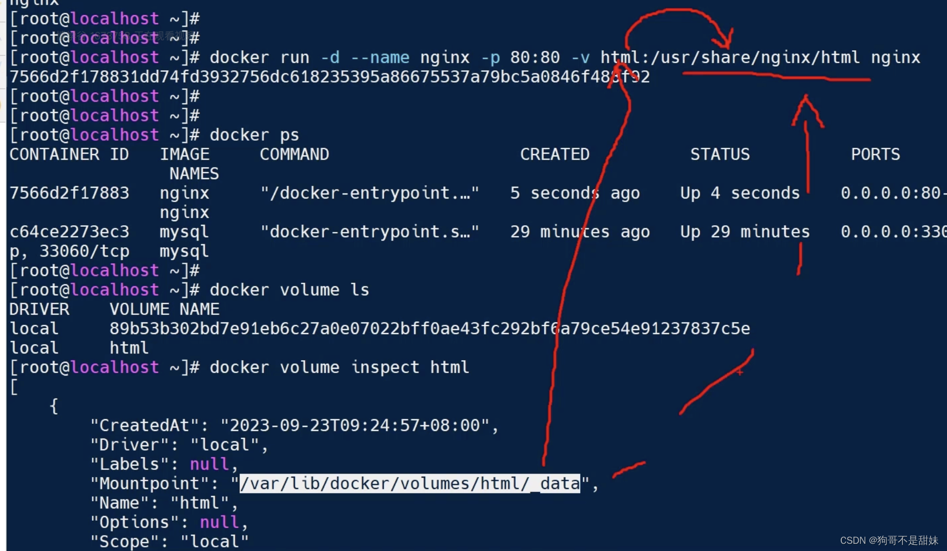 docker基础，docker安装mysql，docker安装Nginx，docker安装mq,docker基础命令_docker安装sqlynx-CSDN博客