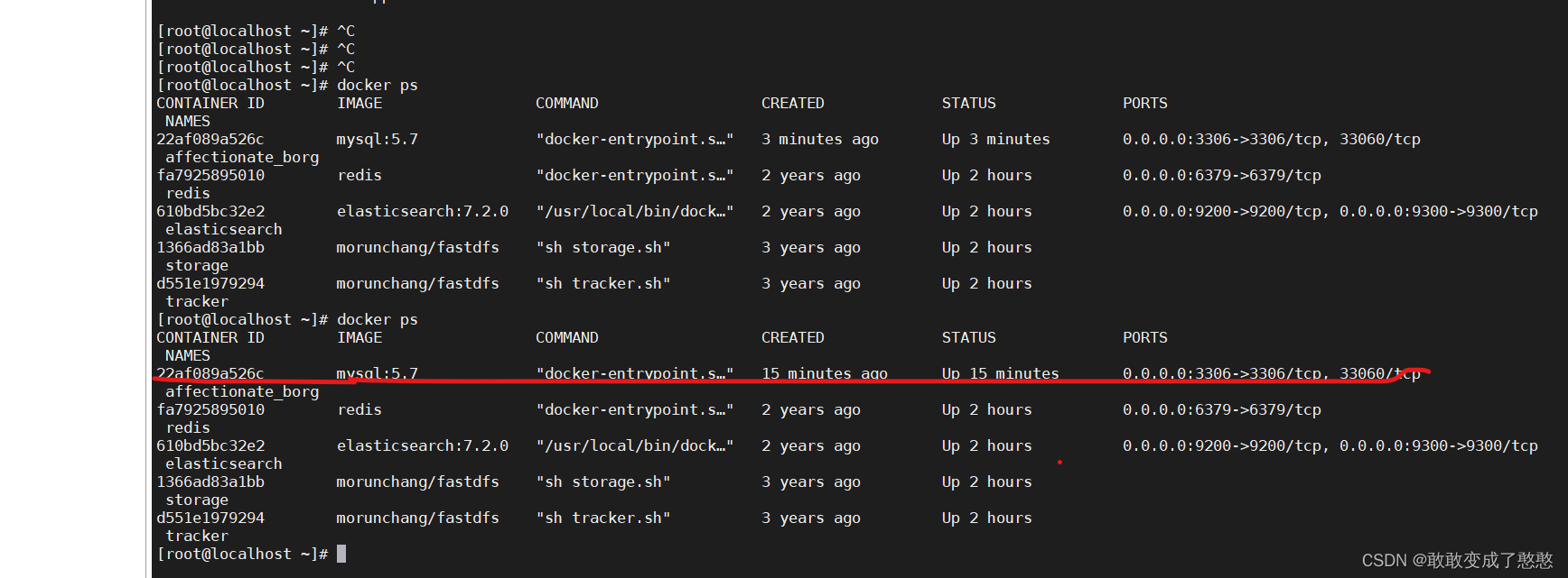 docker中的mysql一些常用操作_docker 操作mysql-CSDN博客