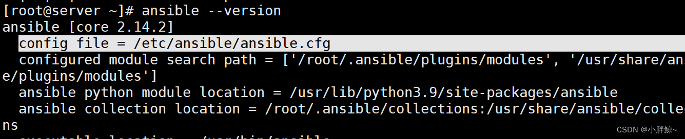 【ansible】ansible配置文件详解_ansible输入设置-CSDN博客
