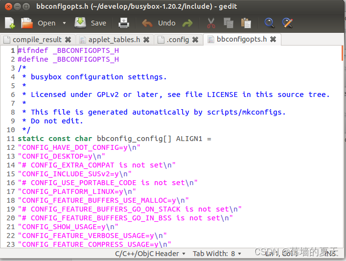 linux busybox详解-CSDN博客