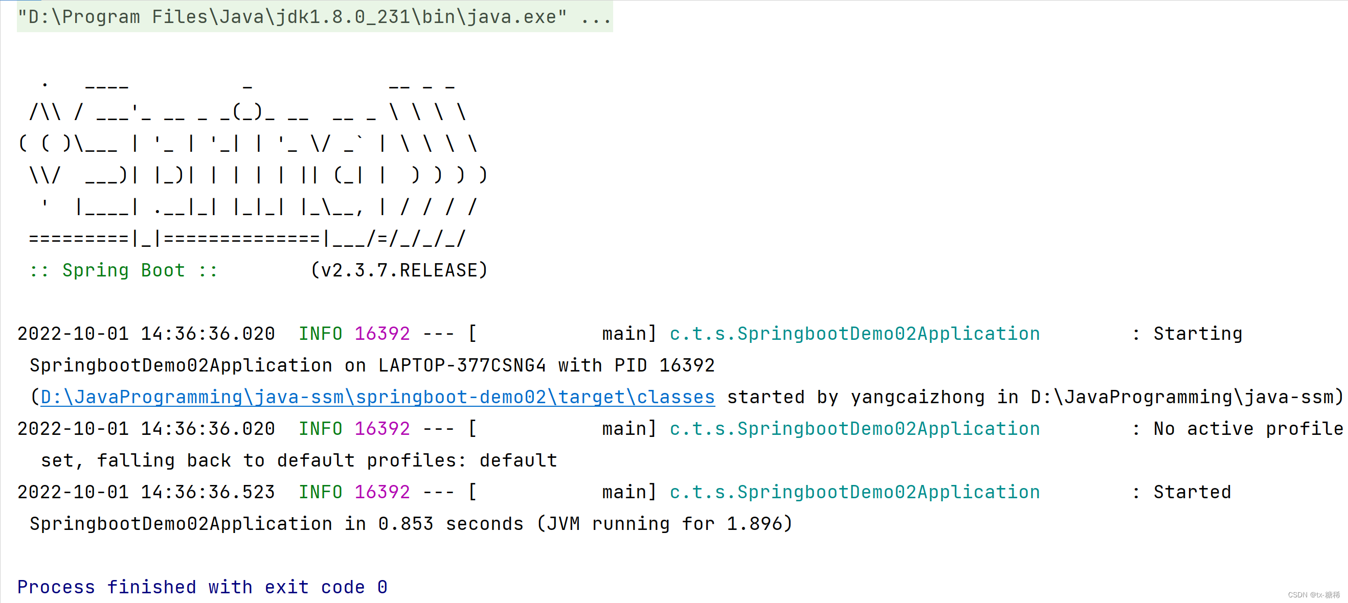springboot项目启动失败-Process finished with exit code 0_springboot workers not finished-CSDN博客