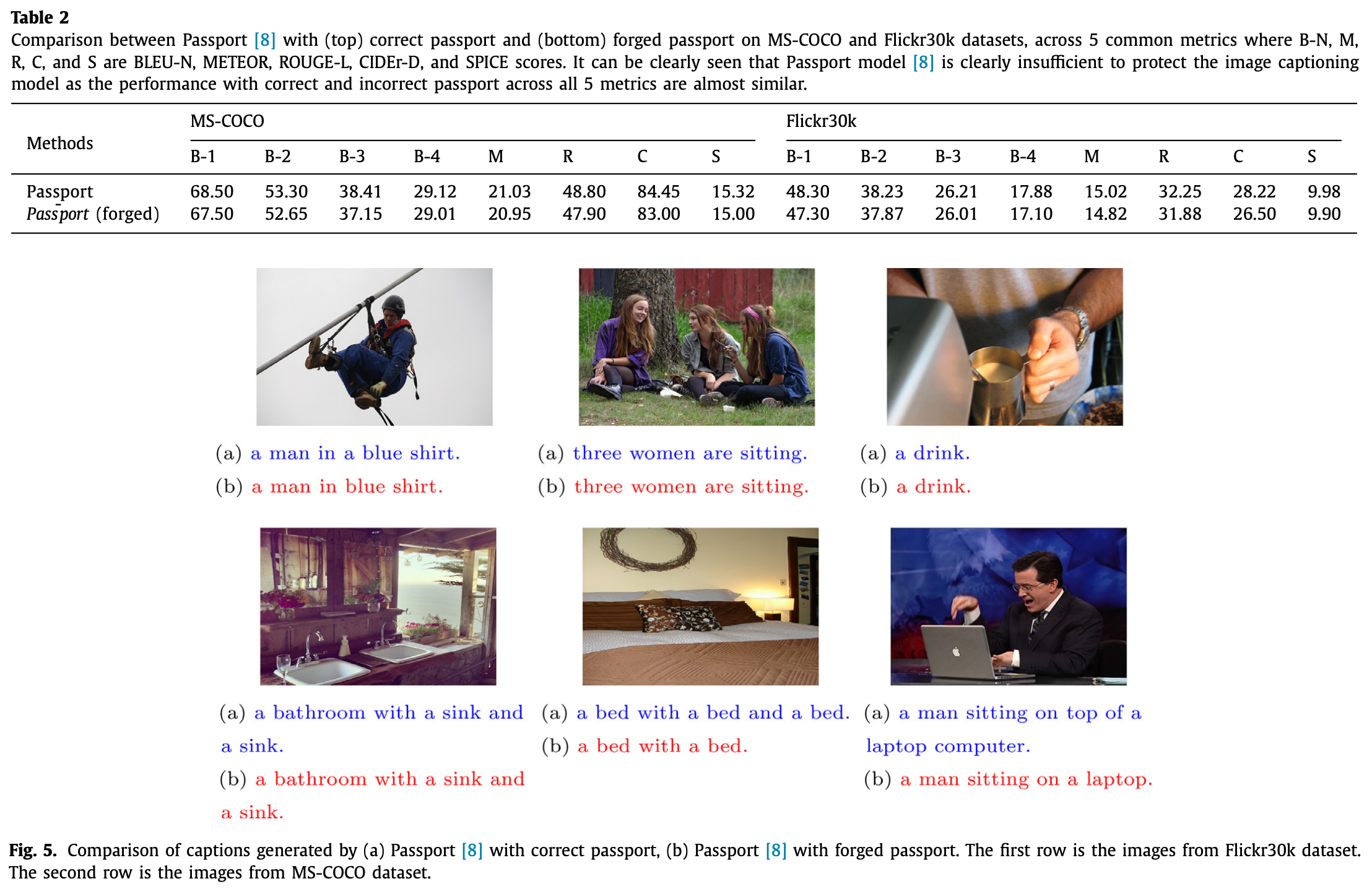 论文研读｜Protect, show, attend and tell: Empowering image captioning models with ownership ...