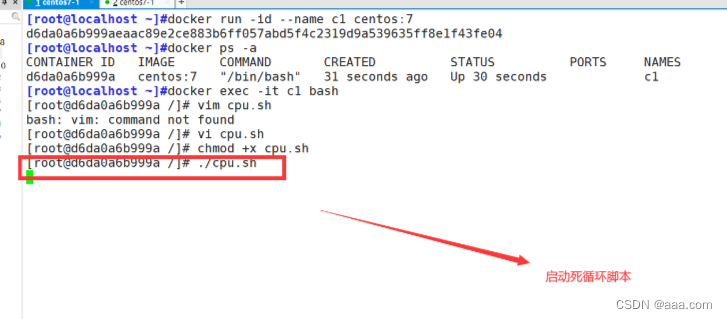 Docker容器资源管理：Cgroup、CPU、内存和磁盘I/O限制详解-CSDN博客