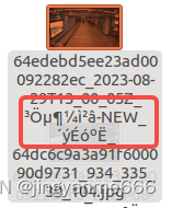 关于linux系统7z压缩文件中文乱码问题原因与解决_7z 乱码-CSDN博客