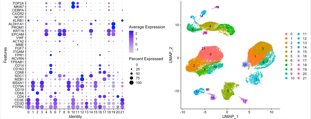 10X单细胞（10X空间转录组）整合分析批次处理之细节（harmony）_单细胞harmony-CSDN博客