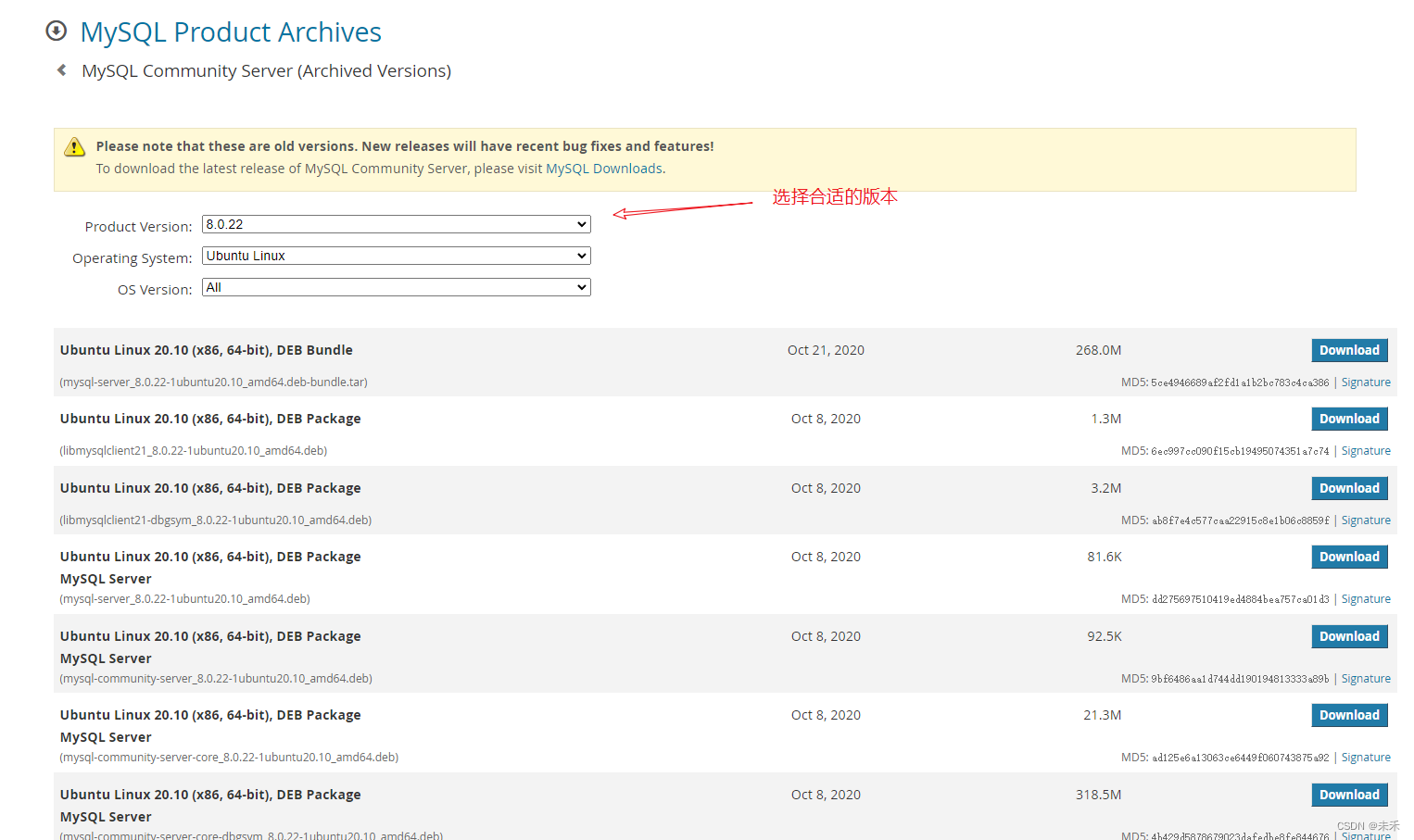 Linux安装MySQL及其环境配置_linux安装mysql 配置环境变量-CSDN博客
