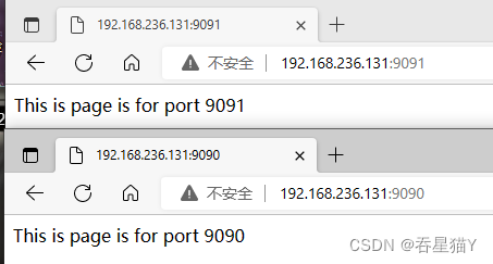 配置同一IP不同端口对应不同域名及Hash加密算法简介-CSDN博客