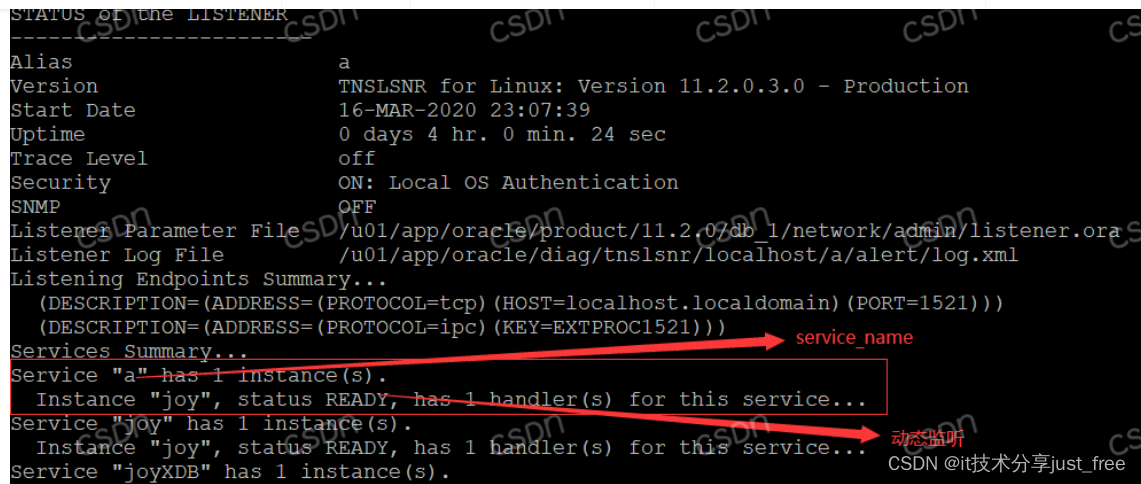 Oracle 静态注册与动态注册监听以及sqldev连接pdb容器数据库oracle 注册监听 Csdn博客