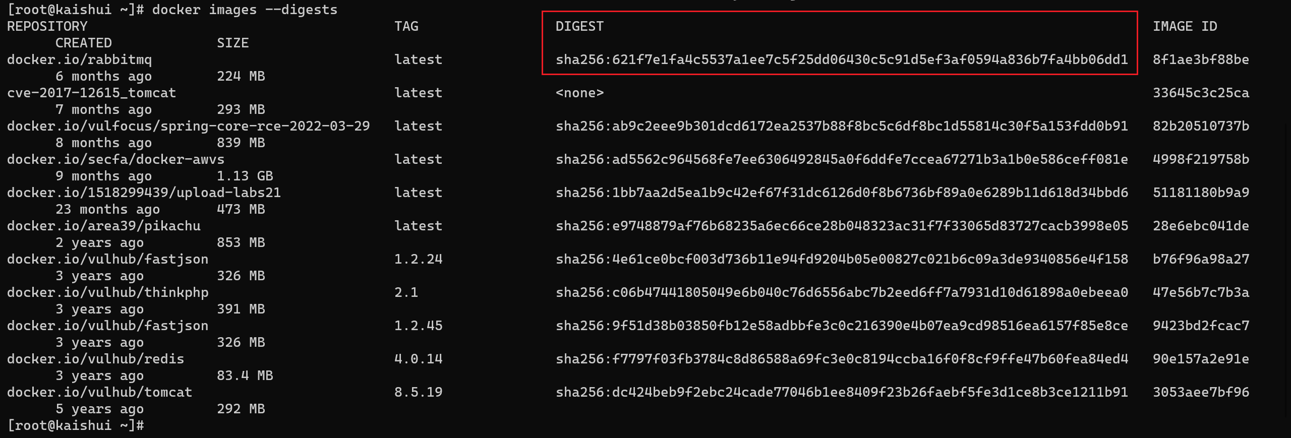 【Linux-Docker】Docker常用命令_linux下docker命令-CSDN博客
