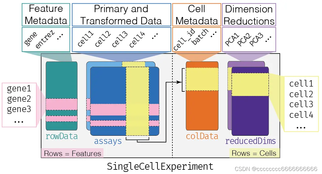 数据存储格式——SingleCellExperiment-CSDN博客