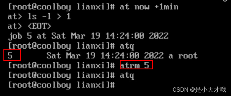百战RHCE（第二十七战：linux高级应用-at,crontab极简管理）_0anacron-CSDN博客