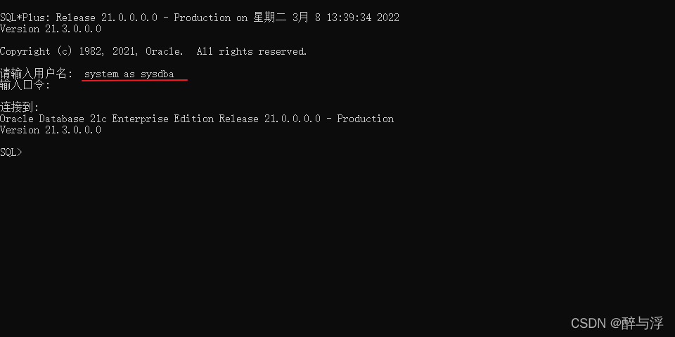 最新Oracle 21c与EM配置及使用_oracle21cwindowsx64下载安装后使用教程-CSDN博客