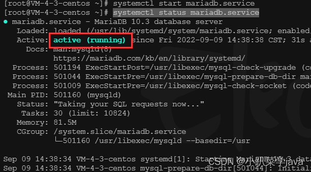 Linux环境下Java应用部署与MySQL安装实战-CSDN博客