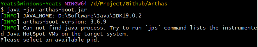 Arthas （阿尔萨斯）arthas-boot 方式安装及使用教程-CSDN博客