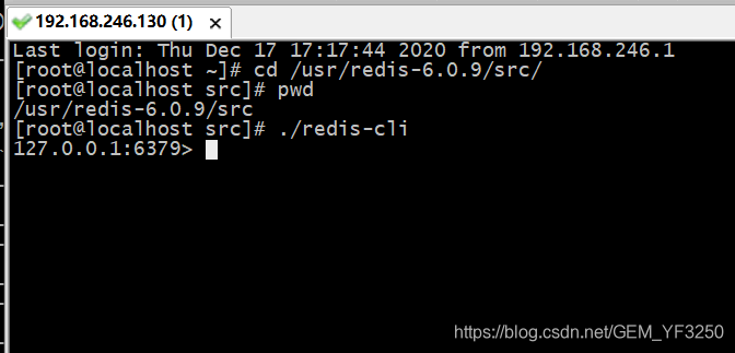 Linux安装Redis-6.0.9完全教程详细篇_linux redis-6.0.9-CSDN博客