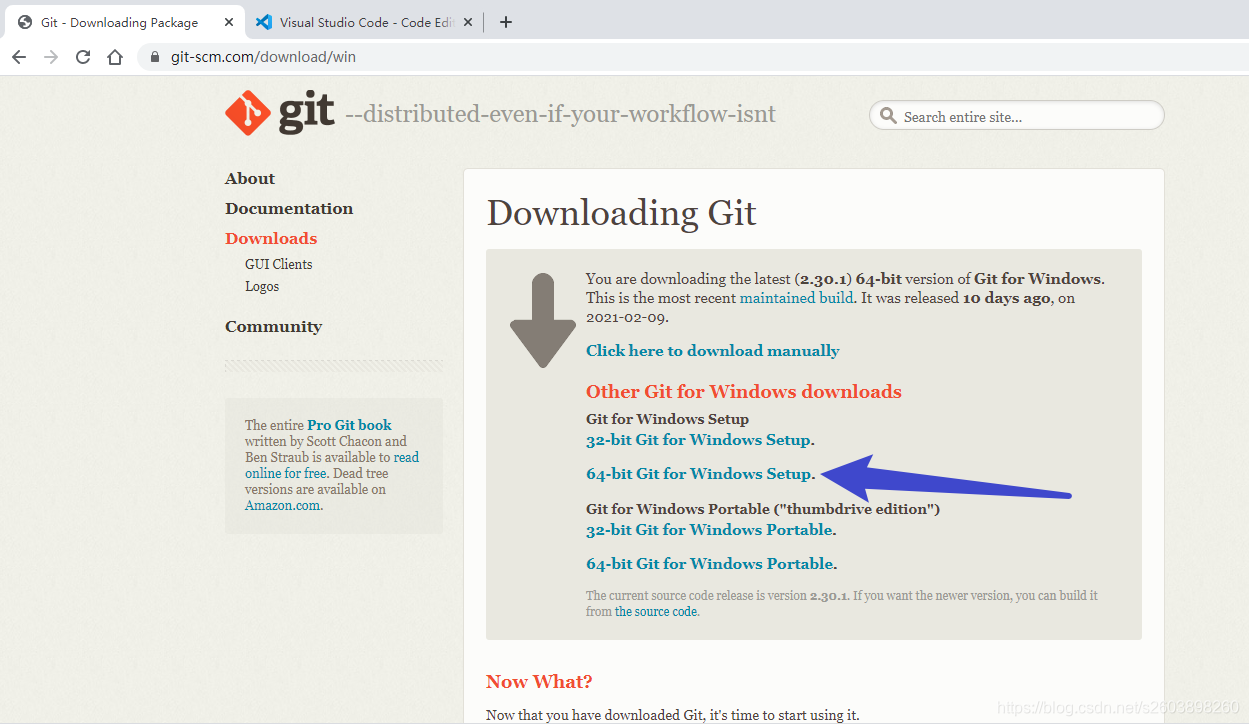 GO安装golang.org/x/net扩展库_go install net-CSDN博客