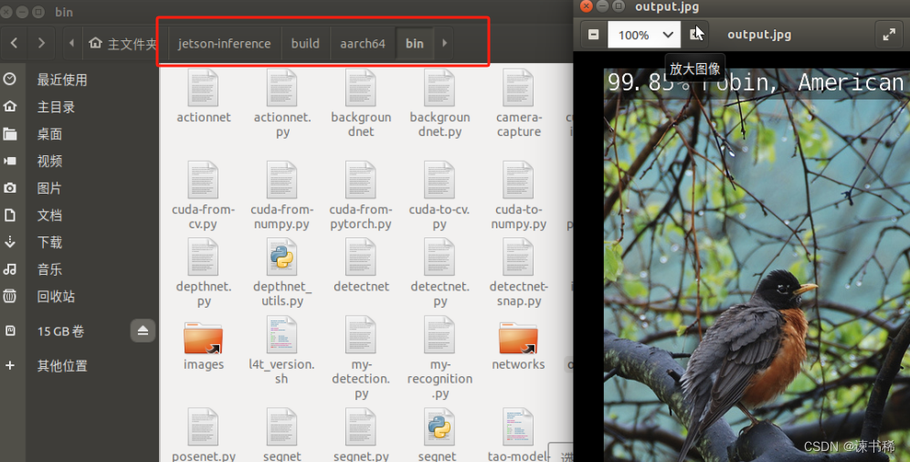 jetsonTX2 nx配置tensorRT加速yolov5推理_tx2加速-CSDN博客
