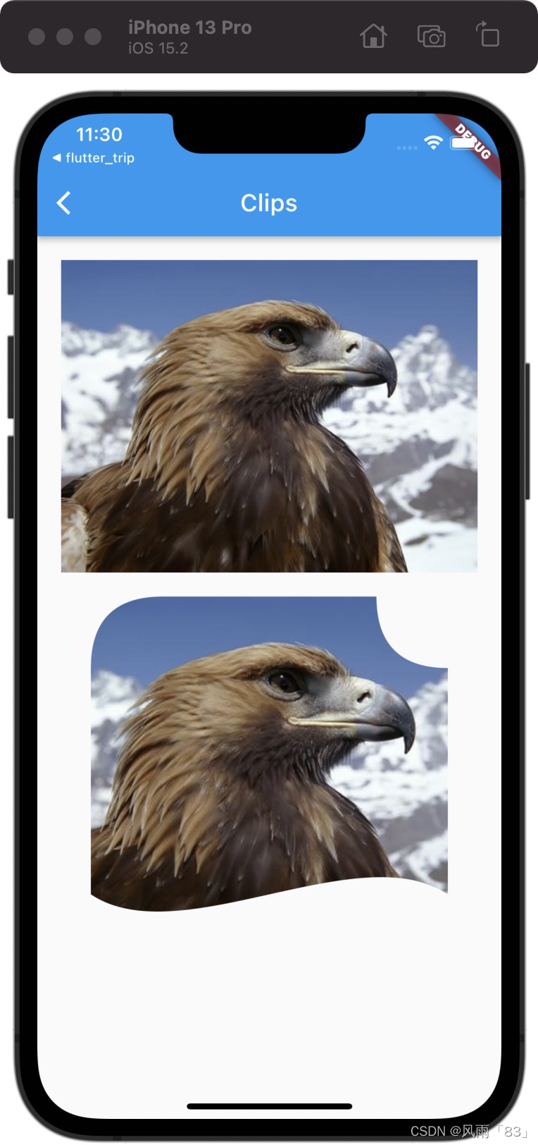 15、 Flutter Widgets 之 ClipRect,ClipRRect，ClipOval，ClipPath ...