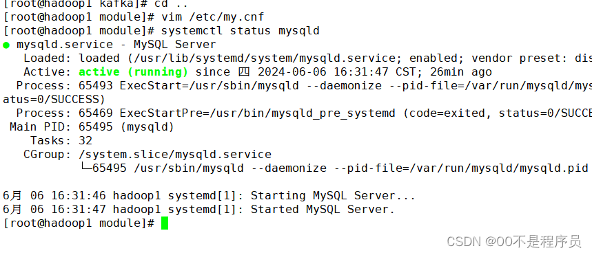 解决报错[MySQL]-Job for mysqld.service failed because the control process ...