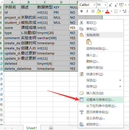 navicat mysql表结构导出excel并复制到word_将navicat的表复制到word-CSDN博客