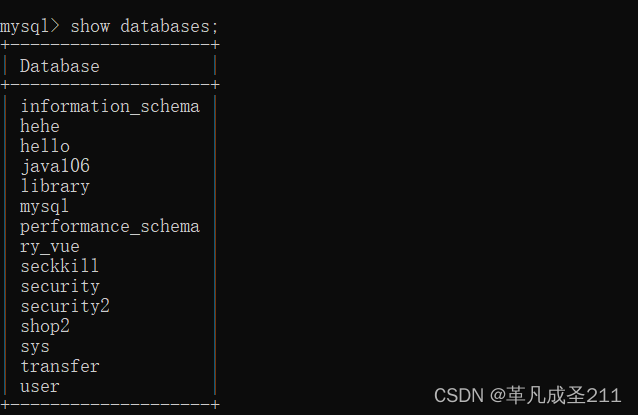 mysql学习--_革凡成圣211-CSDN博客