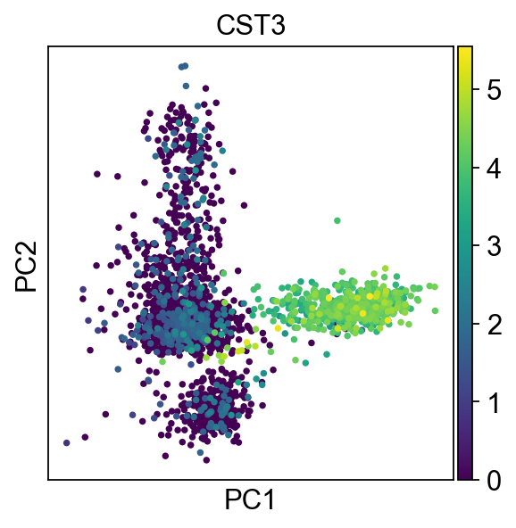 scanpy 教程 1：预处理和聚类 3k PBMCs_pbmc3k-CSDN博客
