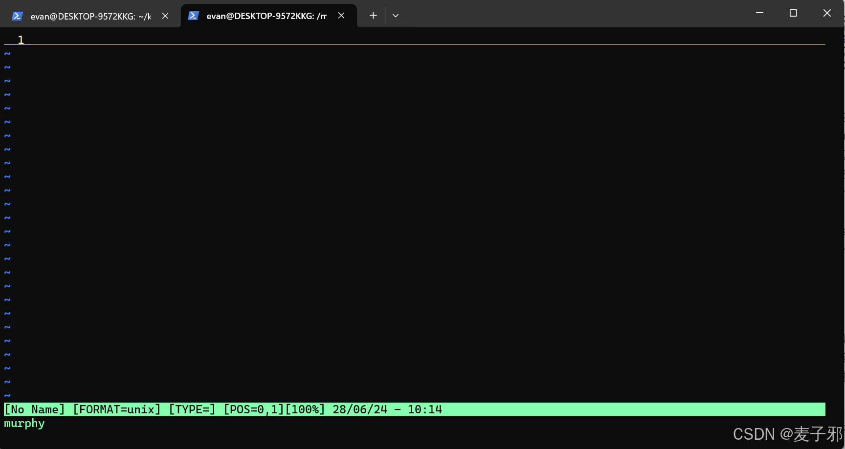 如何修改VIM配色主题_vim colorscheme-CSDN博客