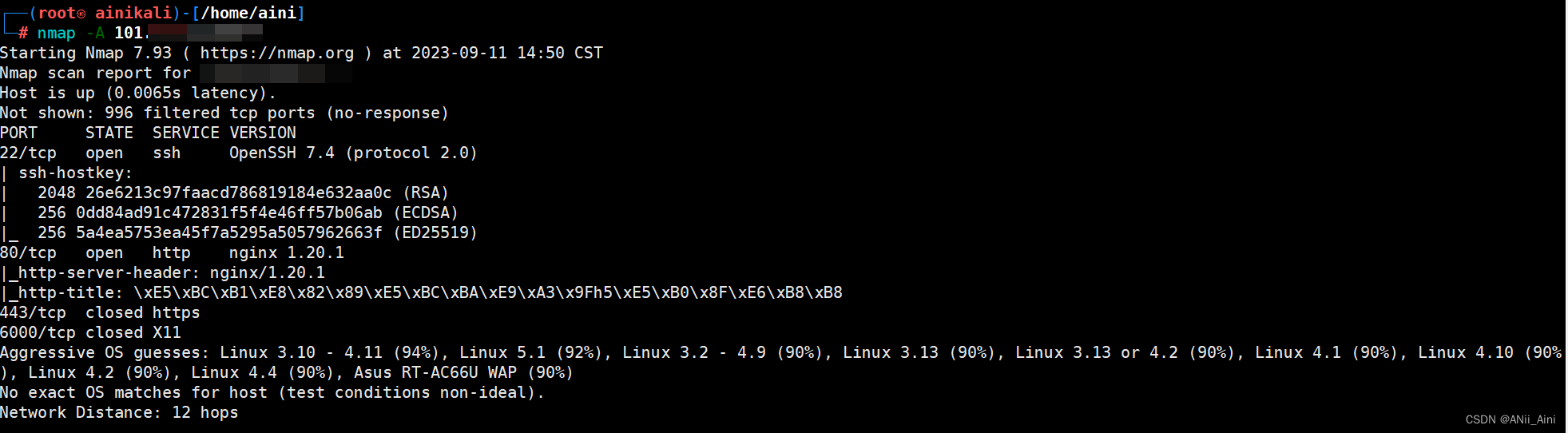 【网络安全-nmap工具】nmap工具的安装和使用详解_nmap安装包-CSDN博客