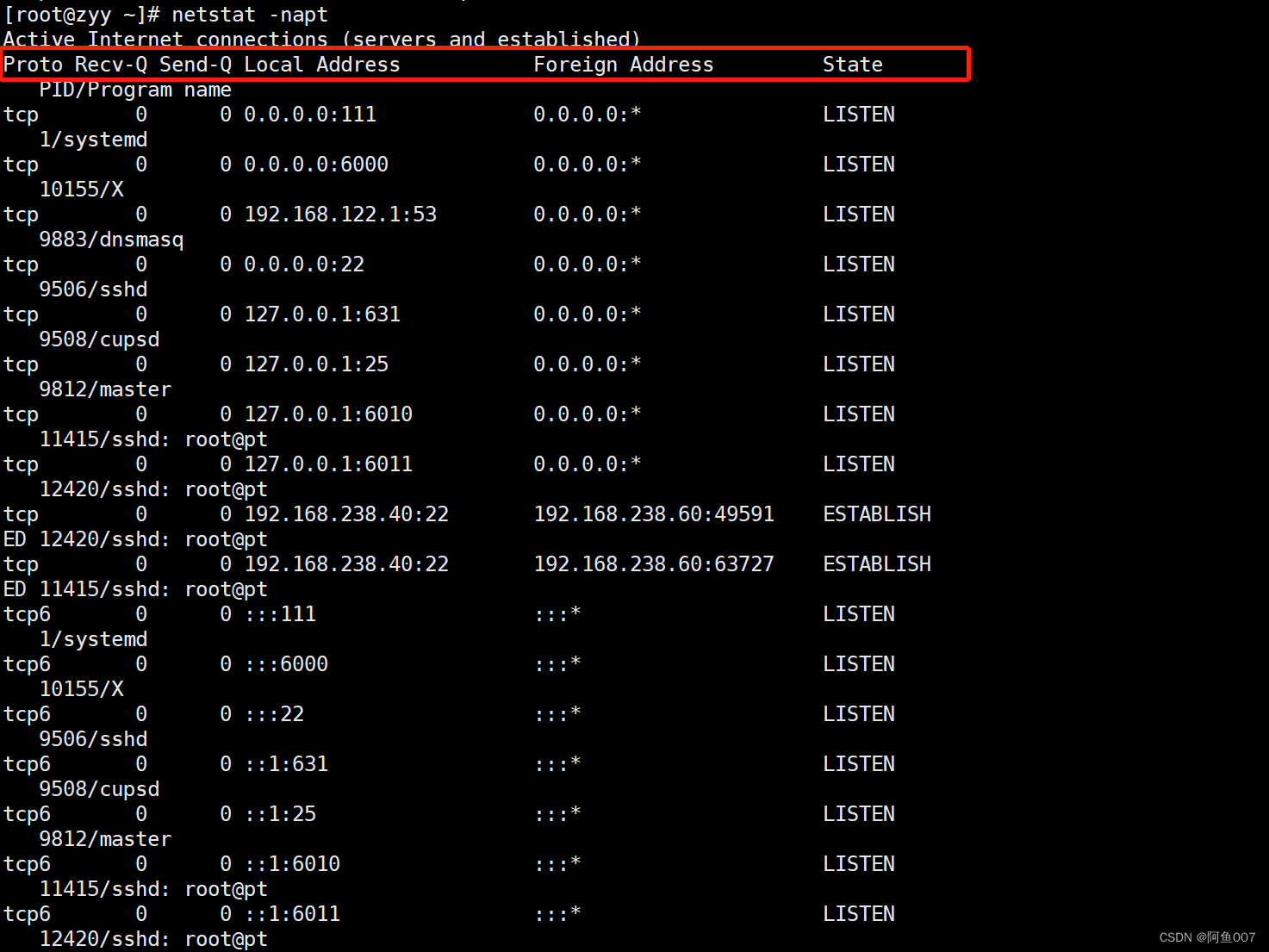 Linux：nmap和netstat命令_nmap netstat-CSDN博客