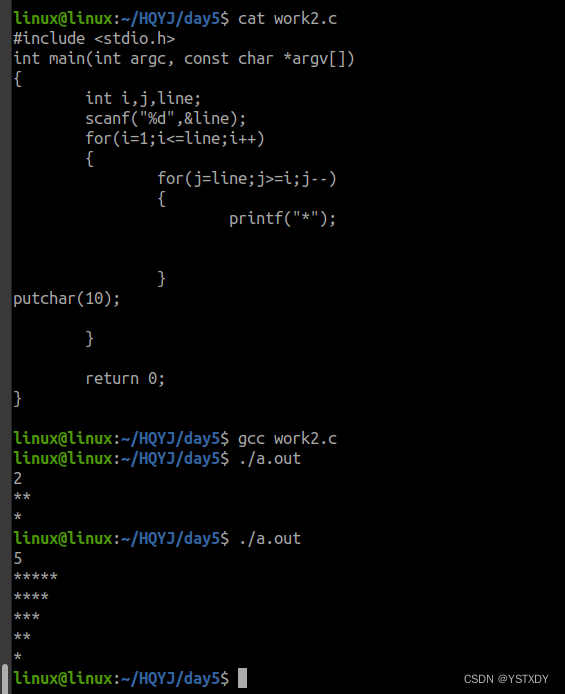c语言day5-CSDN博客