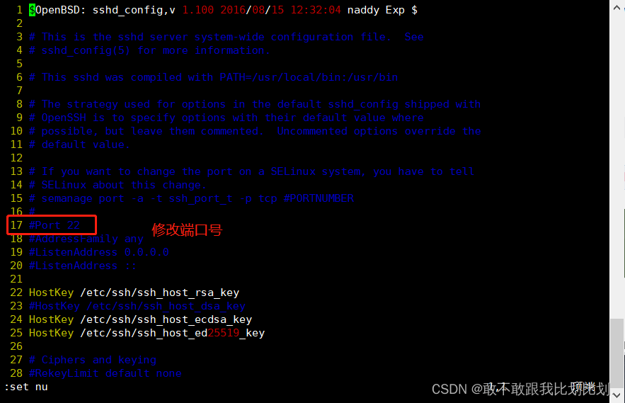 SSH服务器详解：配置、加密与安全实践-CSDN博客