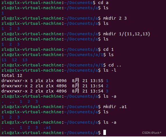 Linux指令_ls > 1.txt-CSDN博客