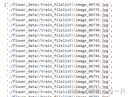 dataloader的学习_dataloader怎么写-CSDN博客
