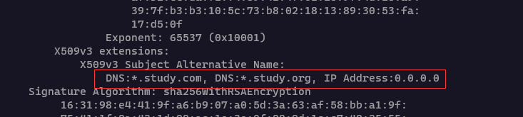 使用openssl创建并签署SSL/TLS证书_openssl subjectaltname-CSDN博客