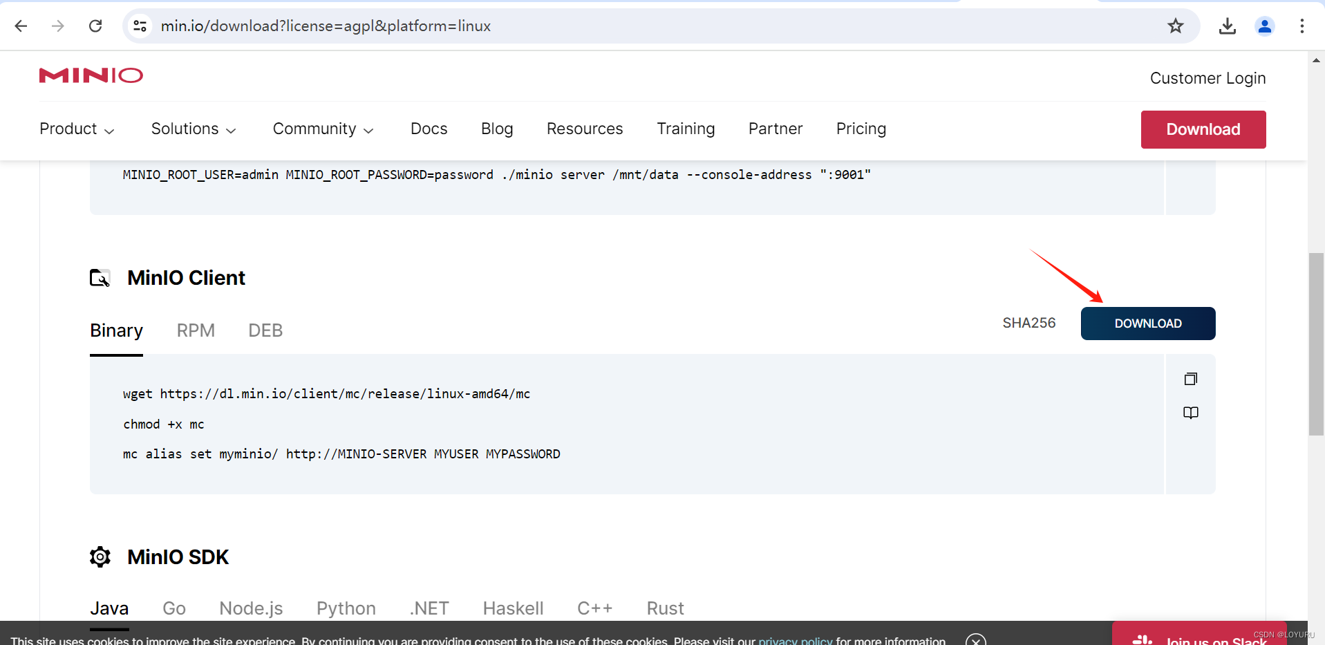 麒麟V10安装MinIO-CSDN博客