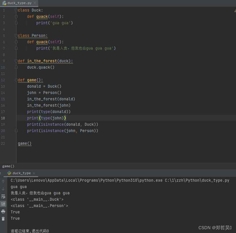 Python语言基础及鸭子类型-CSDN博客