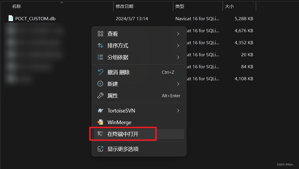 【SQL】sqlite数据库损坏报错：database disk image is malformed（已解决）-CSDN博客