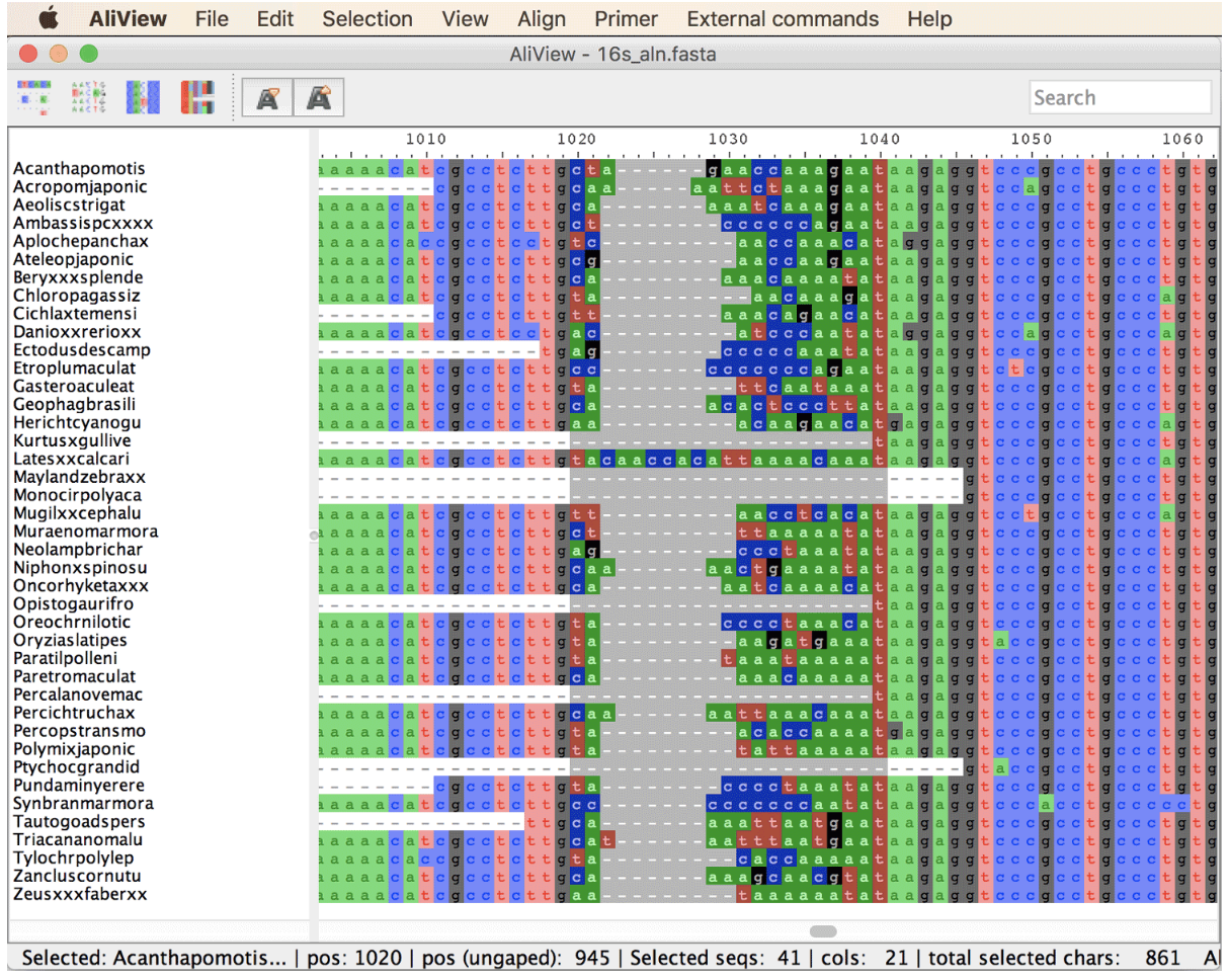 多序列比对教程：MAFFT、核苷酸同源性与系统发育分析,-CSDN博客