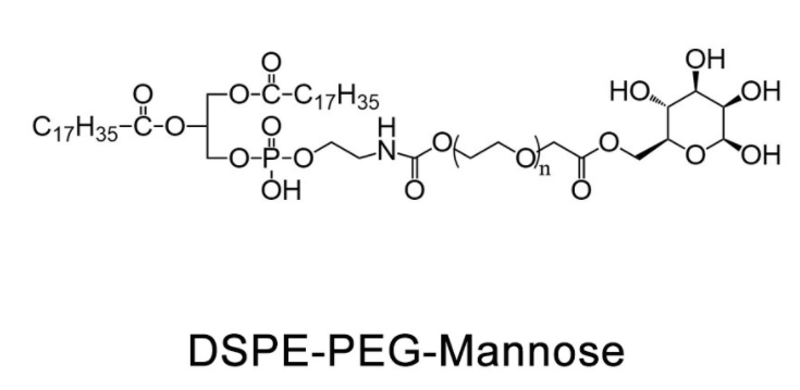 DSPE-PEG2000-Mannose，二硬脂酰磷脂酰乙醇胺-聚乙二醇-甘露糖，DSPE-PEG-甘露糖在细胞表面工程方面的应用-CSDN博客