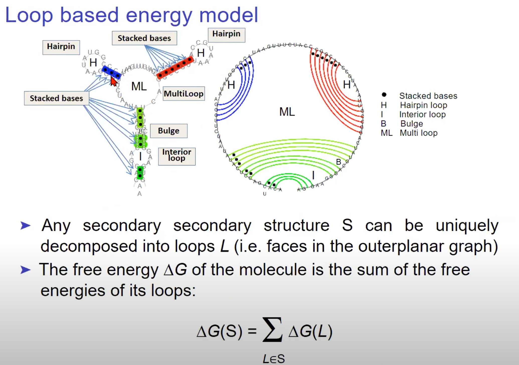 【RNA folding】RNA折叠算法与生物物理约束_rnafold-CSDN博客