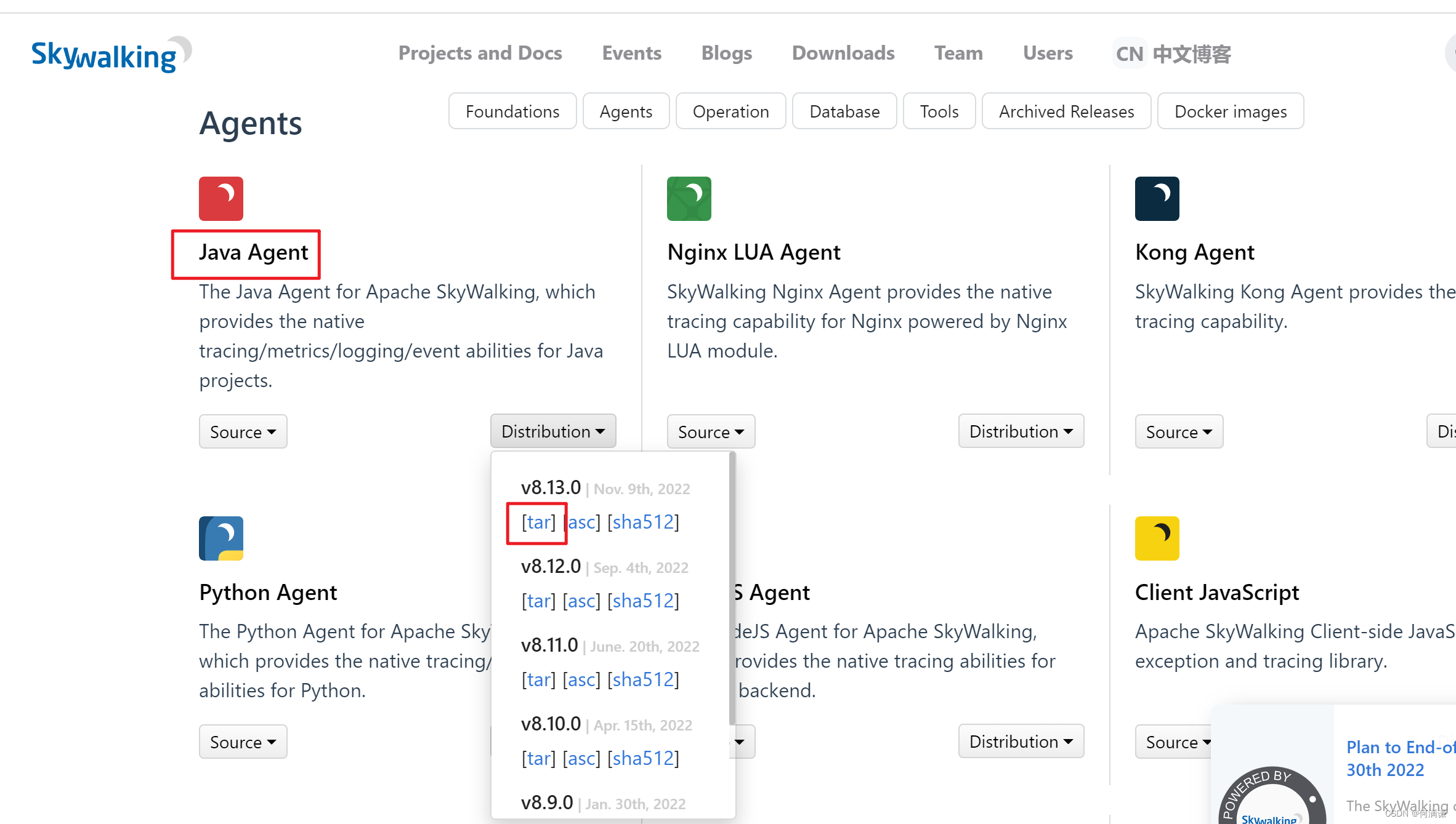skywalking-windows-idea_skyworking启动无法访问-CSDN博客