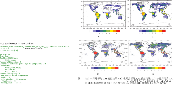 深入理解CLM：陆面模式的运用与实践-CSDN博客