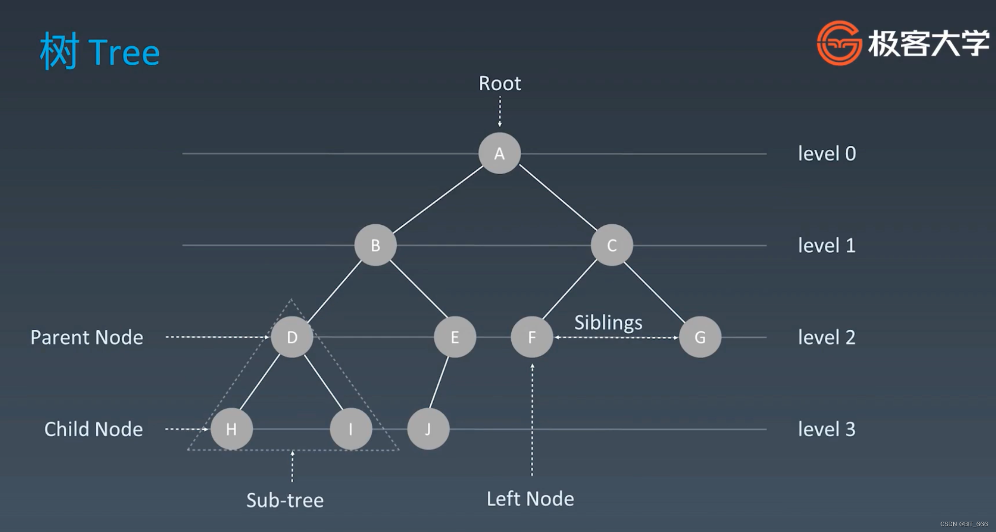 Java Scala Trie 树简介与应用实现java的trie Csdn博客