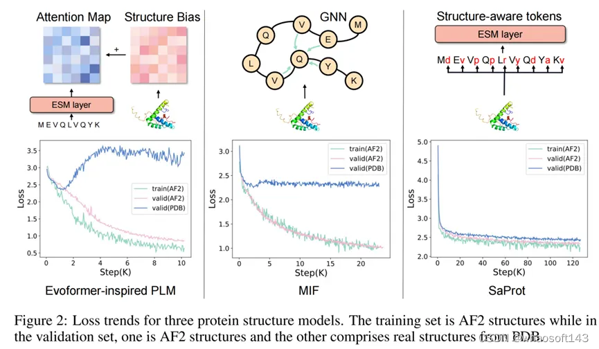SaProt_saprot embedding 的结果-CSDN博客
