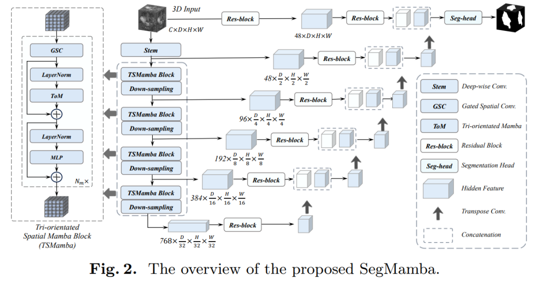 Mamba杀入MICCAI 2024！SegMamba和Swin-UMamba均收录！-CSDN博客