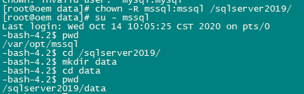 sqlserver2019+centos7.7的rpm方式安装_sqlserver那个一个rpm包比较好-CSDN博客