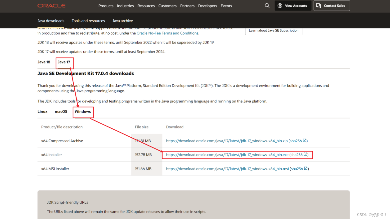 JDK安装与Java入门教程：从基础到HelloWorld,-CSDN博客