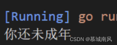 Go语言之if语句的特殊写法（if带分号；）_go if 分号-CSDN博客