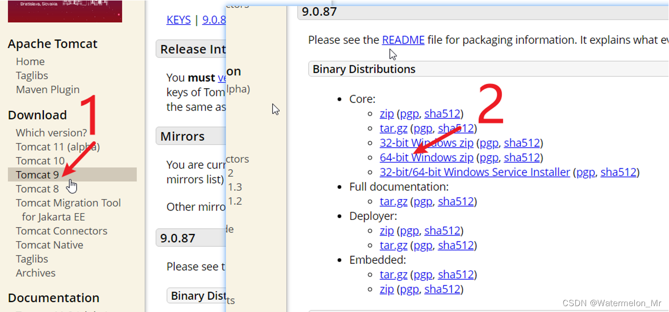 什么是web开发？如何搭建web开发环境？_现在,开发环境已经准备好了,我们可以开始考虑如何进行开发了。由于是一个web程序,-CSDN博客